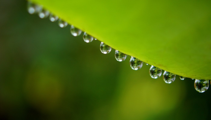 Convert Java 8 Streams to Collections | Novixys Software Dev Blog